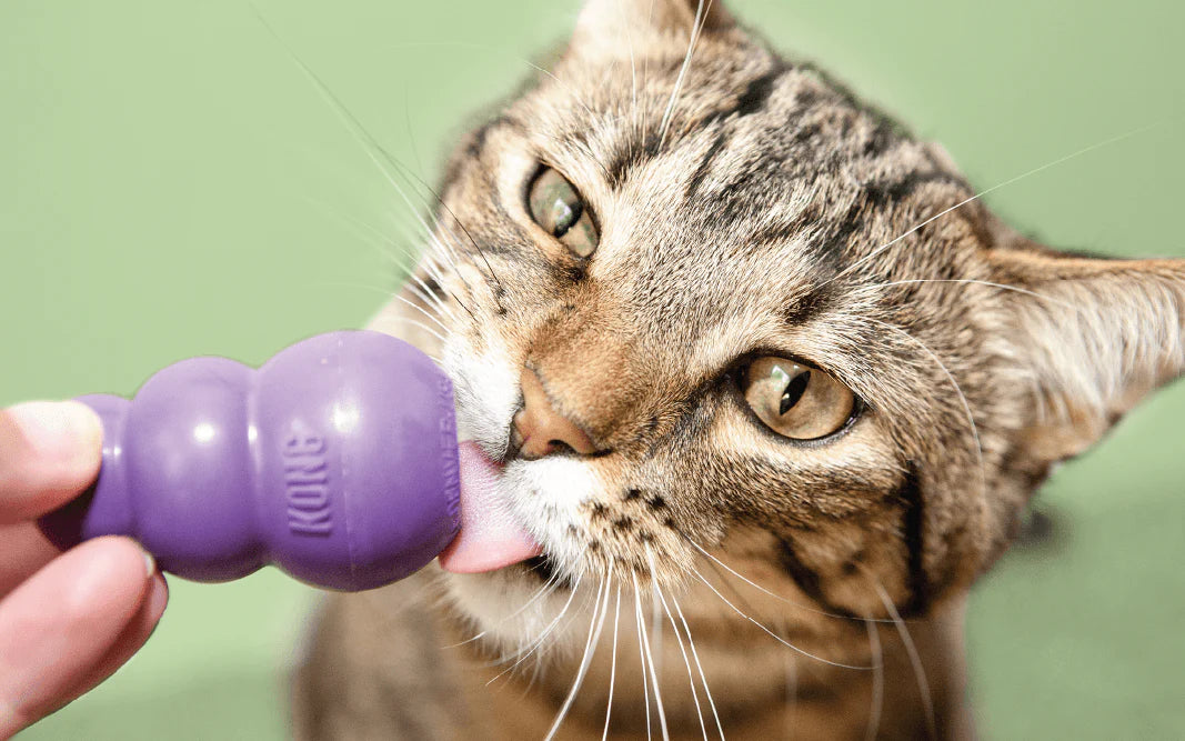 Cat Toys – Kong Company